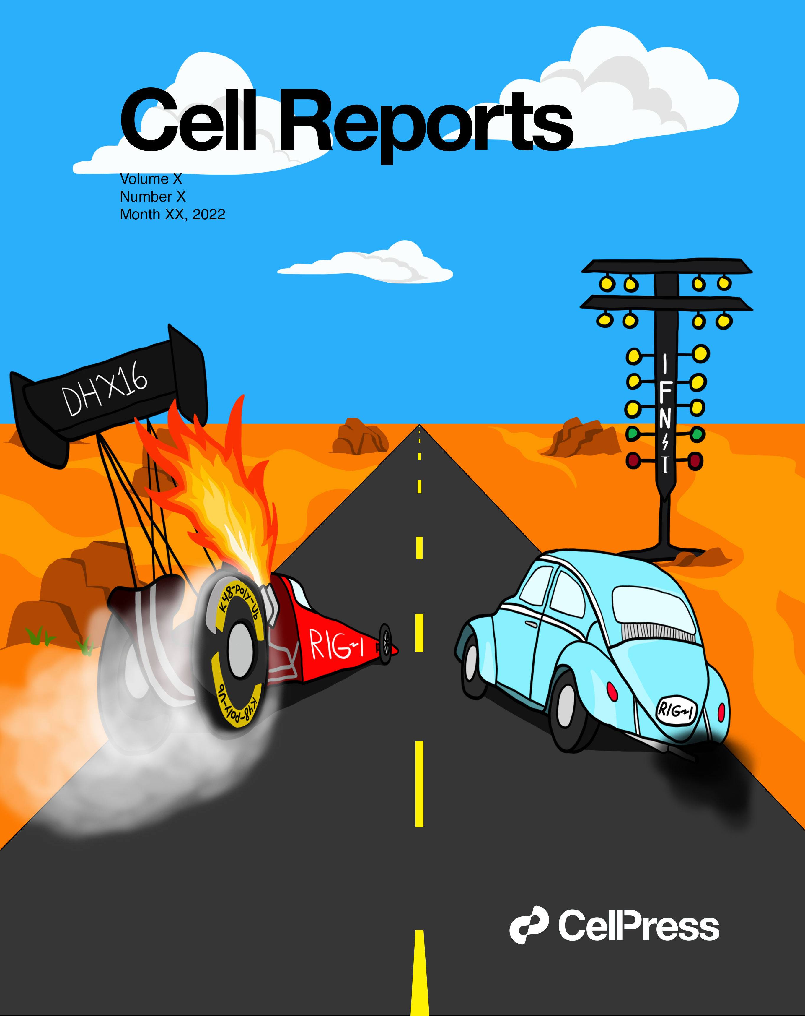 Cell Reports – Cover Art Submission – Melody Hage